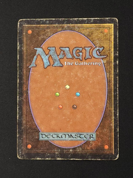 Buy Trading Cards - Magic The Gathering – Finch and Sparrow Games