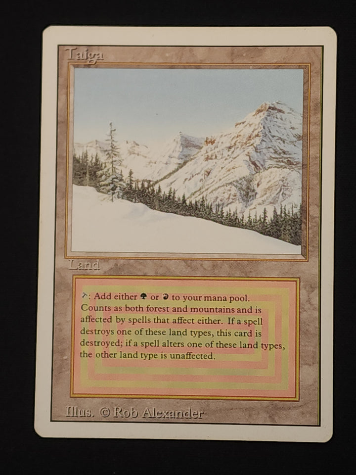 Buy Trading Cards - Magic The Gathering – Finch and Sparrow Games